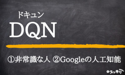 DQNとは？読み方や意味に関連語を解説。DQNネームについても！ – スッキリ